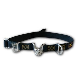 RIT Elevator Poling Tool